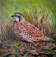 Jennifer McCall Fine Art